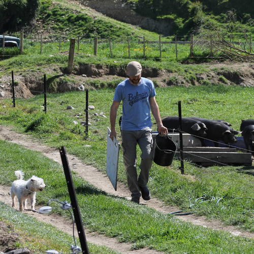 Woodys Free Range - Premium Fresh NZ Free Range Meat Online